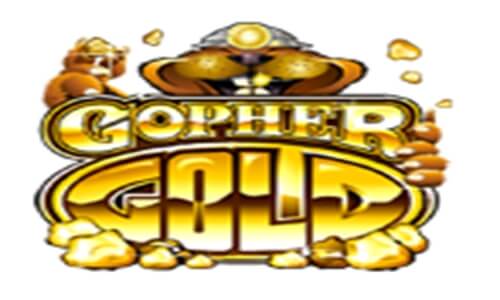 India's #1 Online Casino - Free Spins on Signup - JeetWin